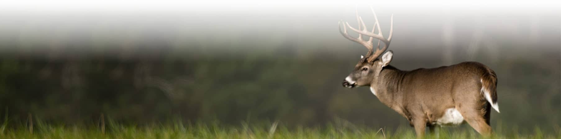 DEER HUNTING - Harrison's Outfitter Service - Maryland Hunting & Fishing